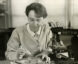 All These Women Won Science Nobel Prizes - The Stemettes Zine
