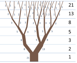 How Many Times Have You Spotted Fibonacci in Nature? Here Are 7 ...
