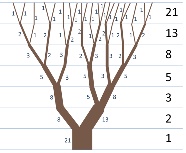 How Many Times Have You Spotted Fibonacci in Nature? Here Are 7 ...