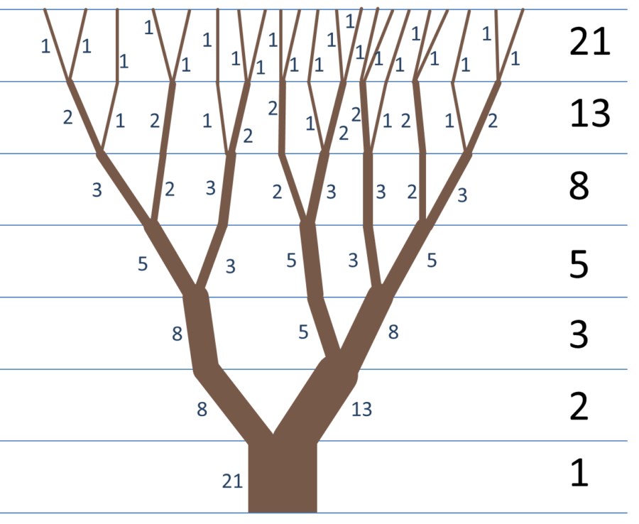 How Many Times Have You Spotted Fibonacci in Nature? Here Are 7 ...