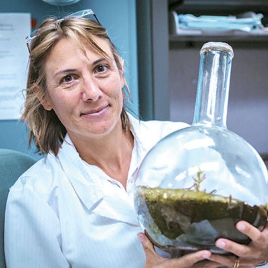 Meet Dr A. Hope Jahren - The Stemettes Zine