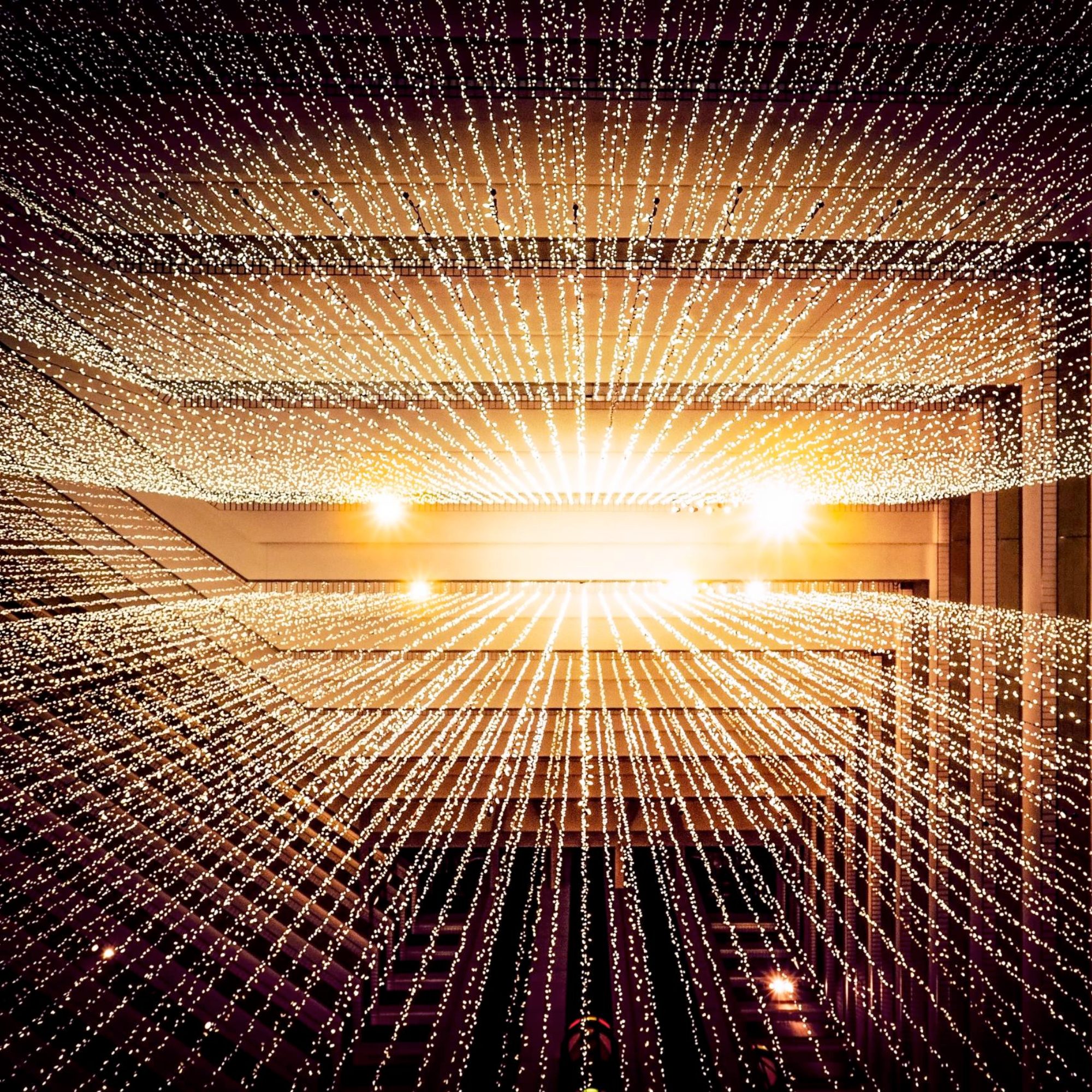 What You Need To Know About The Future Of App Development - The ...