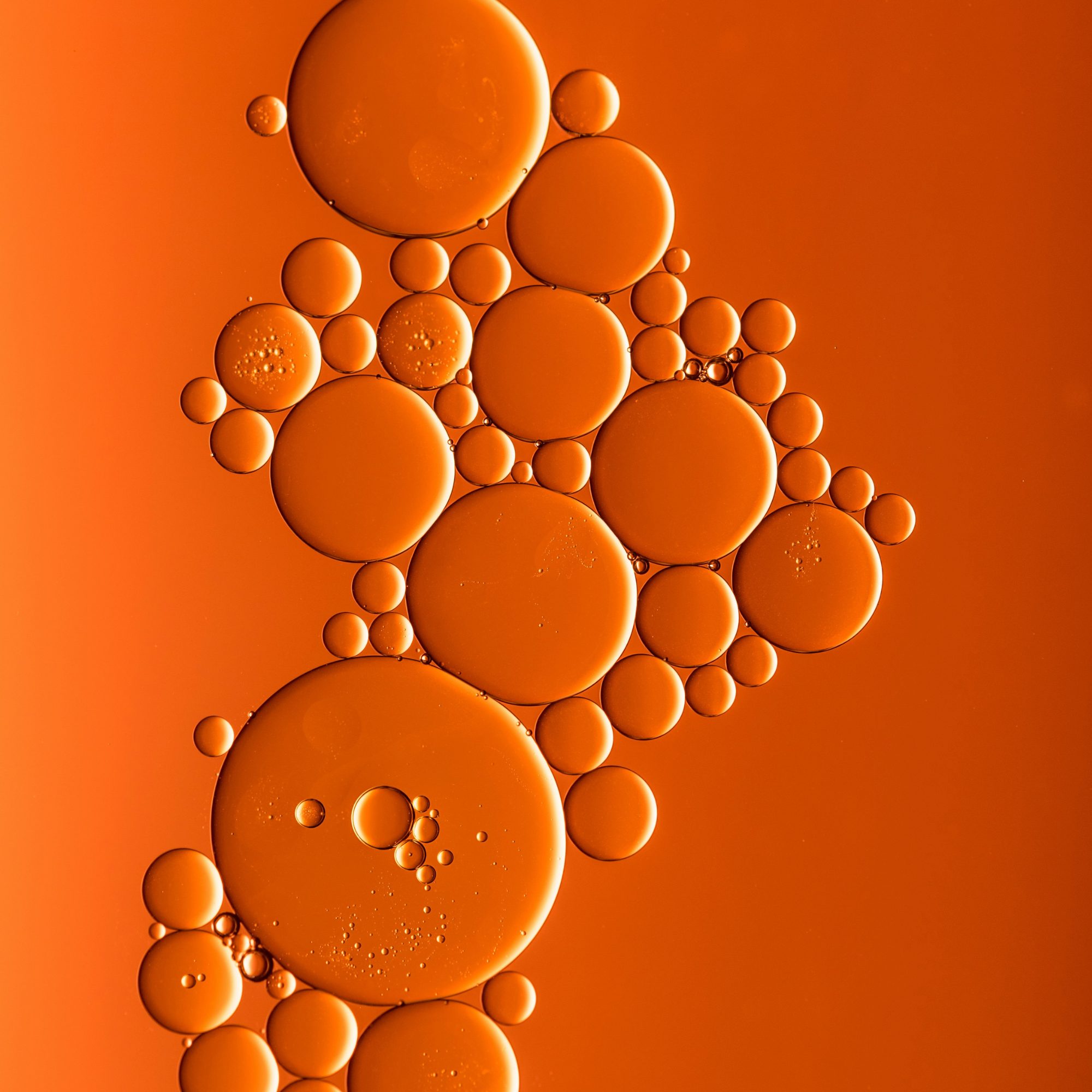 5 Interesting Questions the Best Scientists Can’t Answer (Yet) - The ...