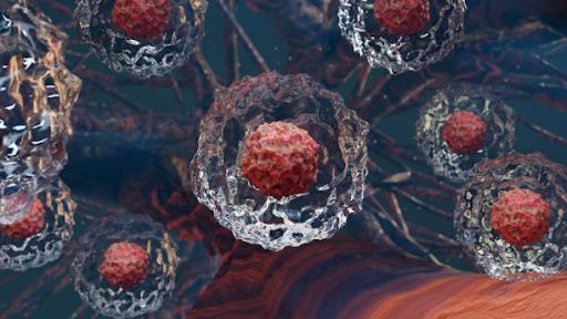 Everything You Need To Know About Stem Cells - The Stemettes Zine