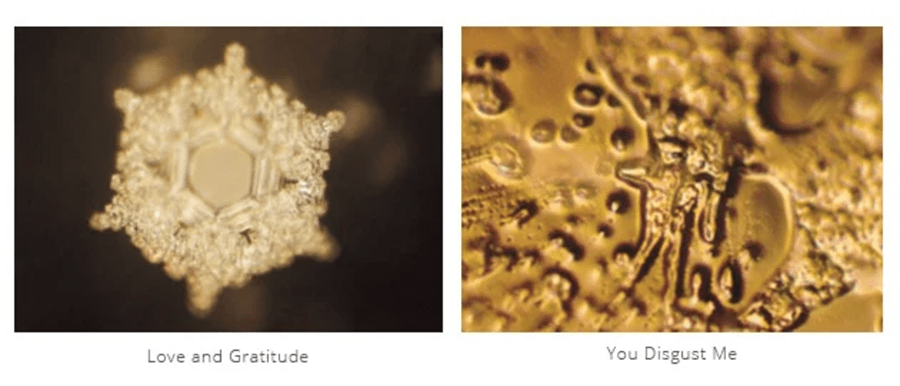 Does Water Respond To Emotions? New And Interesting Research - The ...