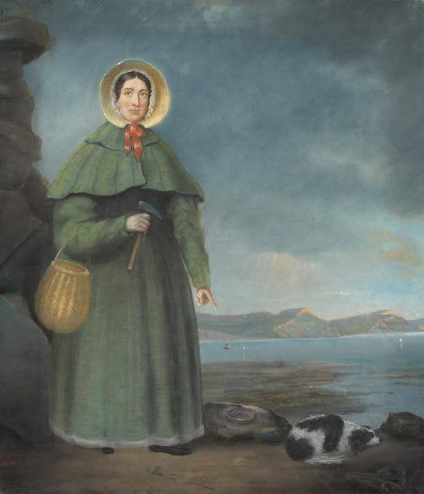 The Life of Mary Anning - The Stemettes Zine